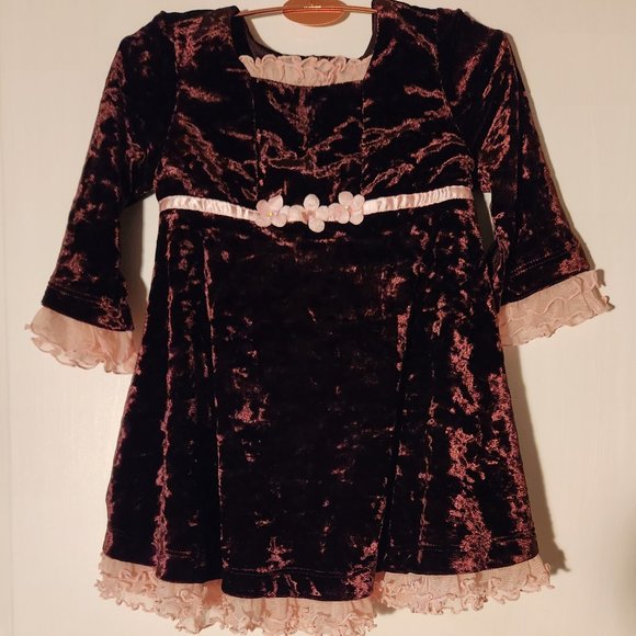 Genuine Rose | Dresses | Stunning Genuine Rose Soft Velvet Girls Dress ...